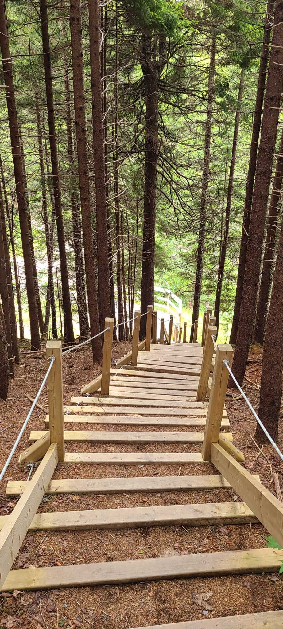 Our New Brunswick Adventures - Exploring Our New Brunswick