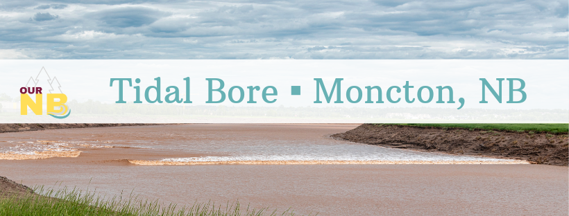 Moncton Tidal Bore - Petitcodiac River - Our New Brunswick Adventures