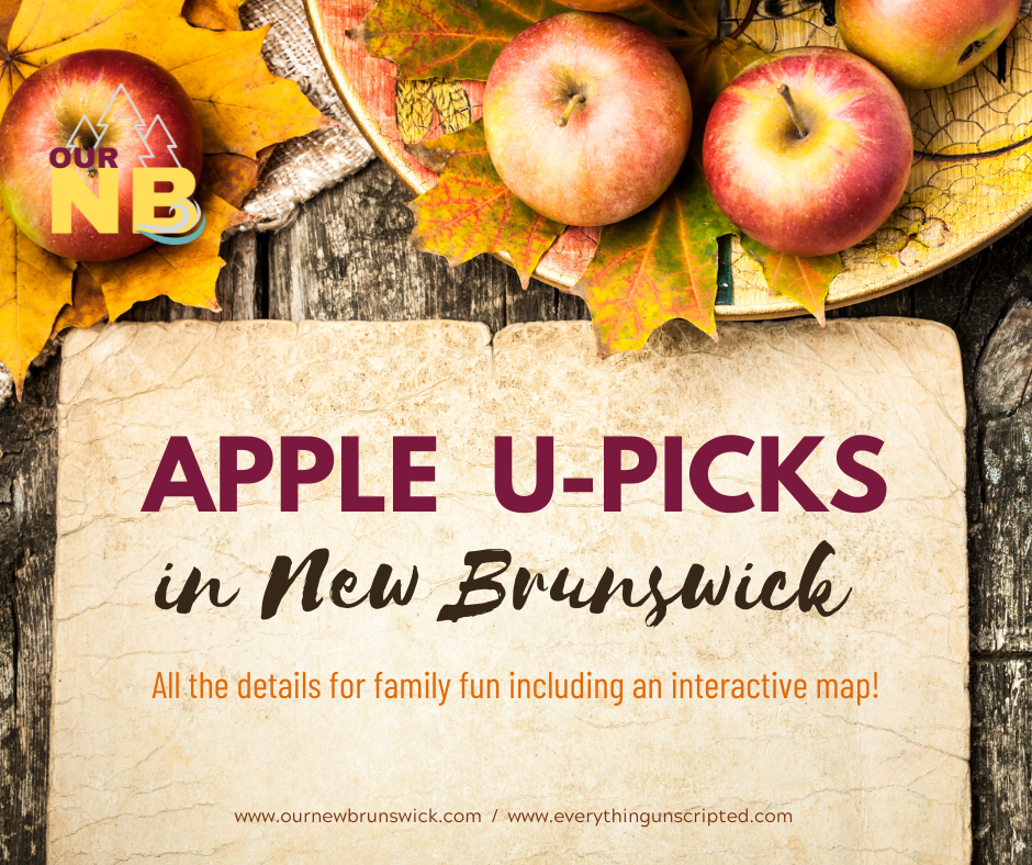 Apple U-picks in New Brunswick - Our New Brunswick Adventures